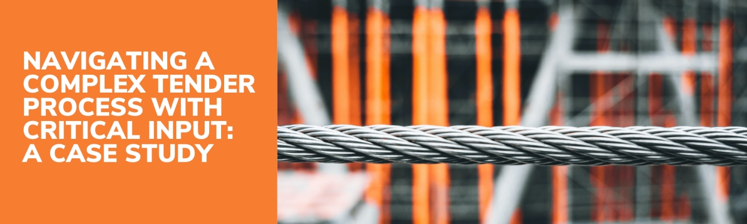Navigating a complex tender process with Critical Input: A case study ... Navigating a complex tender process with Critical Input: A case study ...